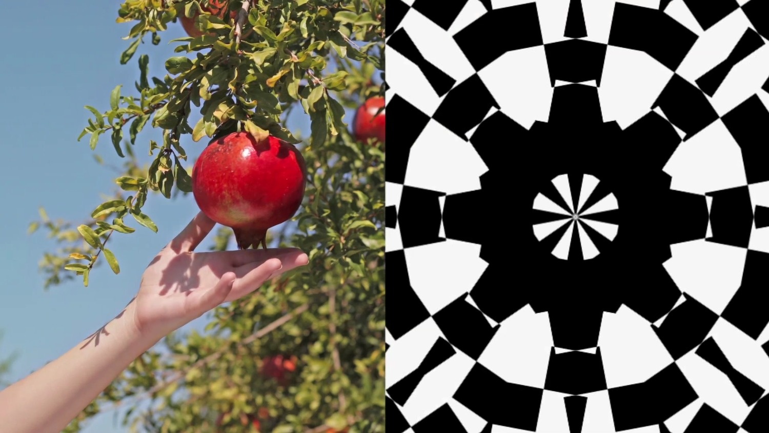 Mustafa Hulusi | Extasis | Sedition