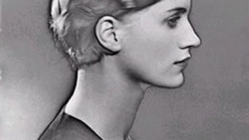 Universal Everything | Transfiguration | Sedition