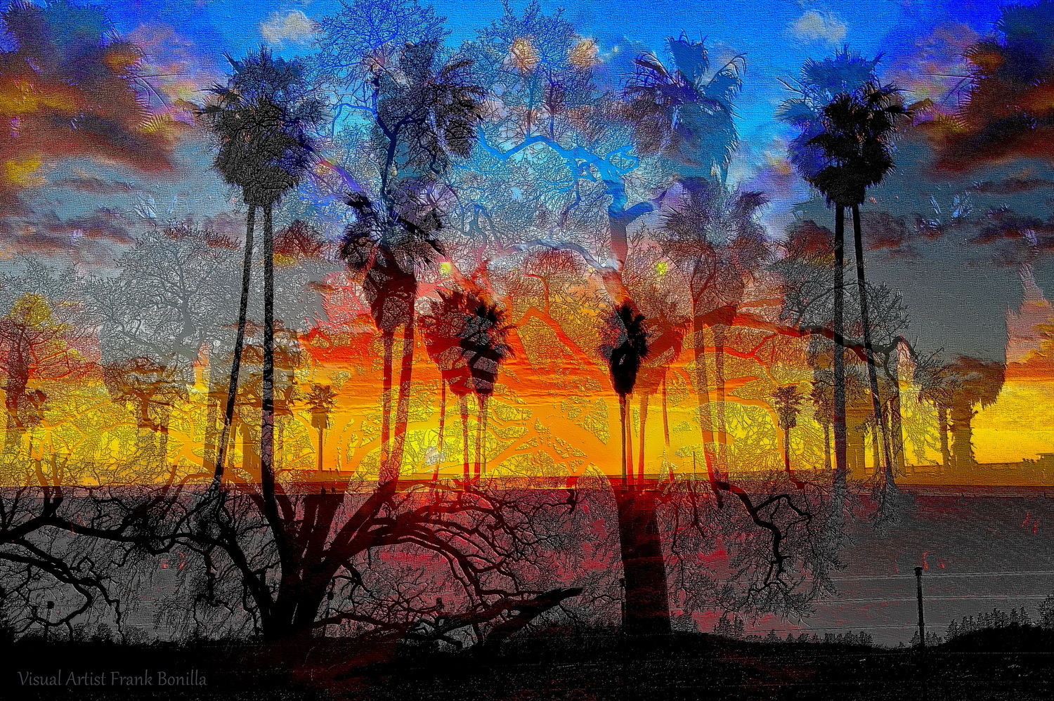 Visual Artist Frank Bonilla | Tree City | Sedition