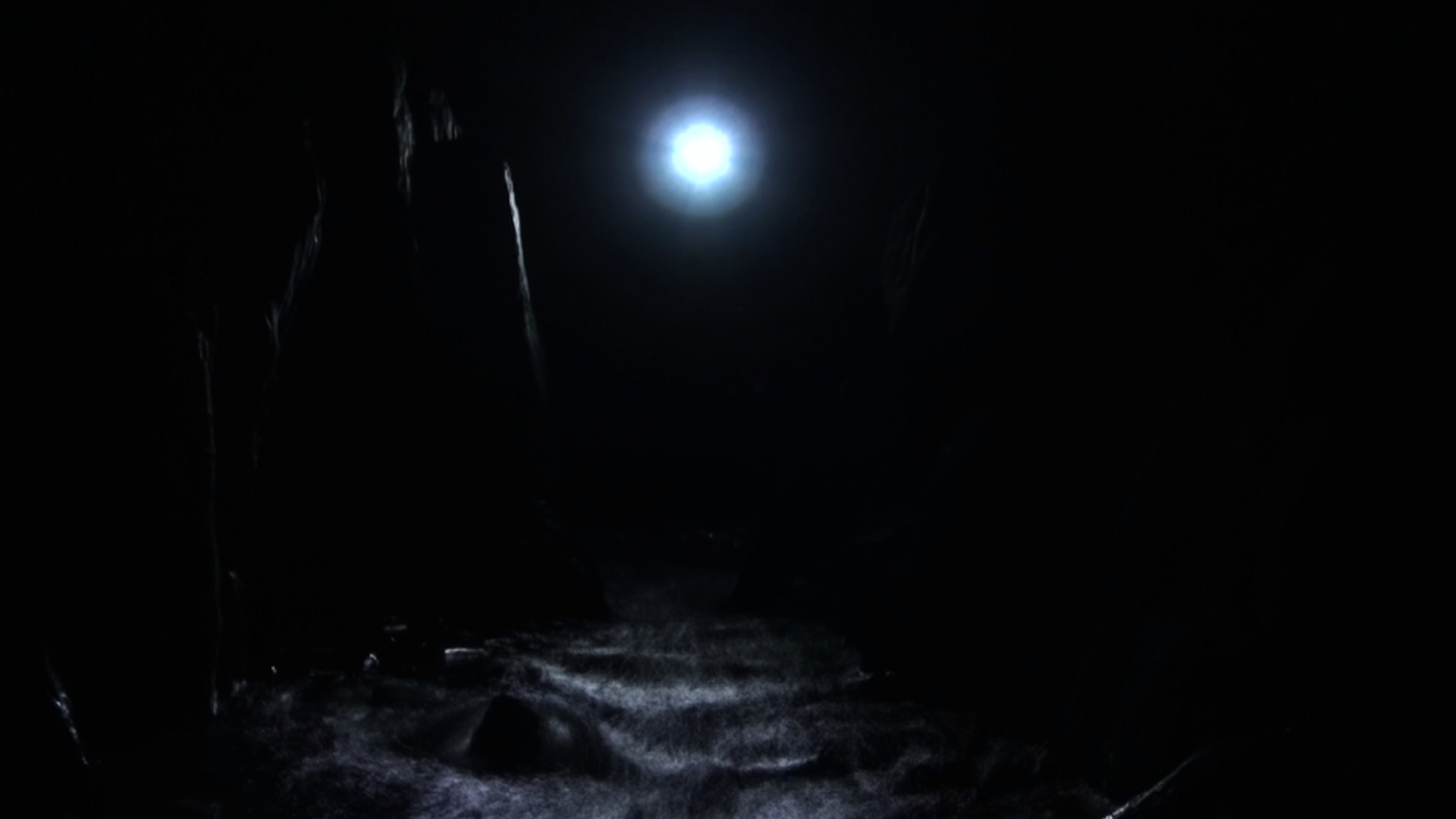 David Bickley | V | Sedition