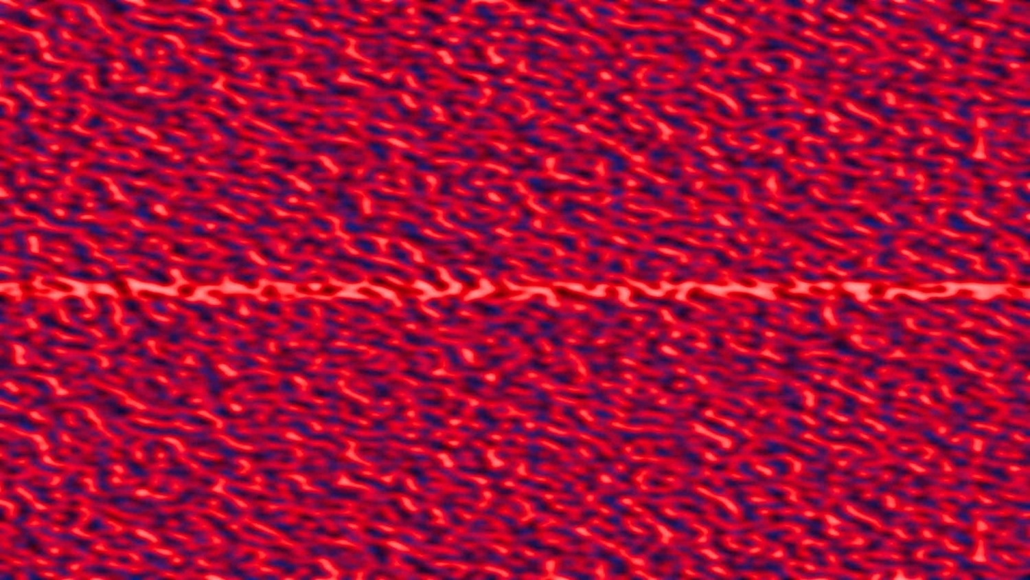 Matthew Biederman & Pierce Warnecke | Pareidolia I | Sedition