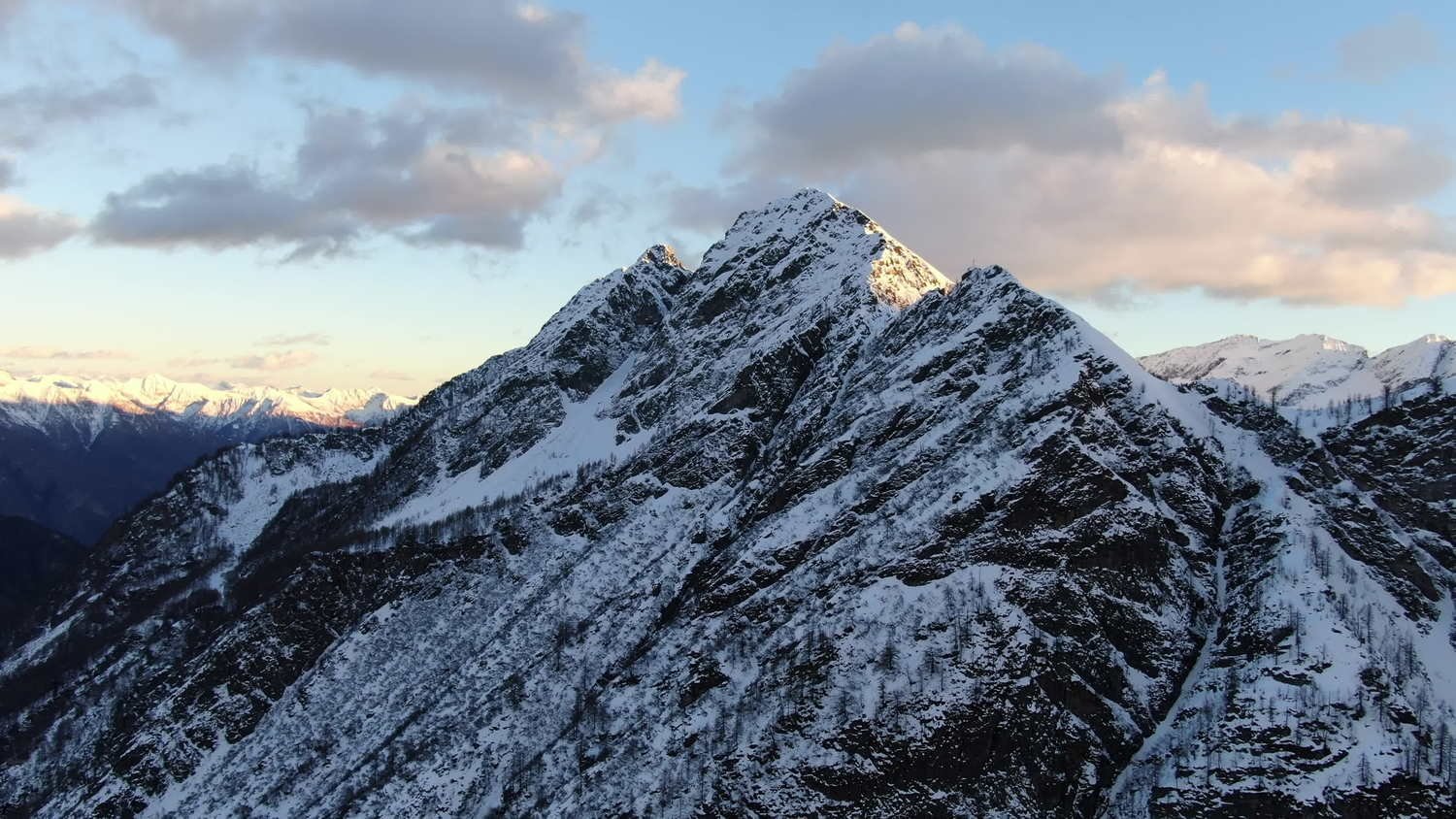 Black Forest Collective | Switzerland II | Sedition