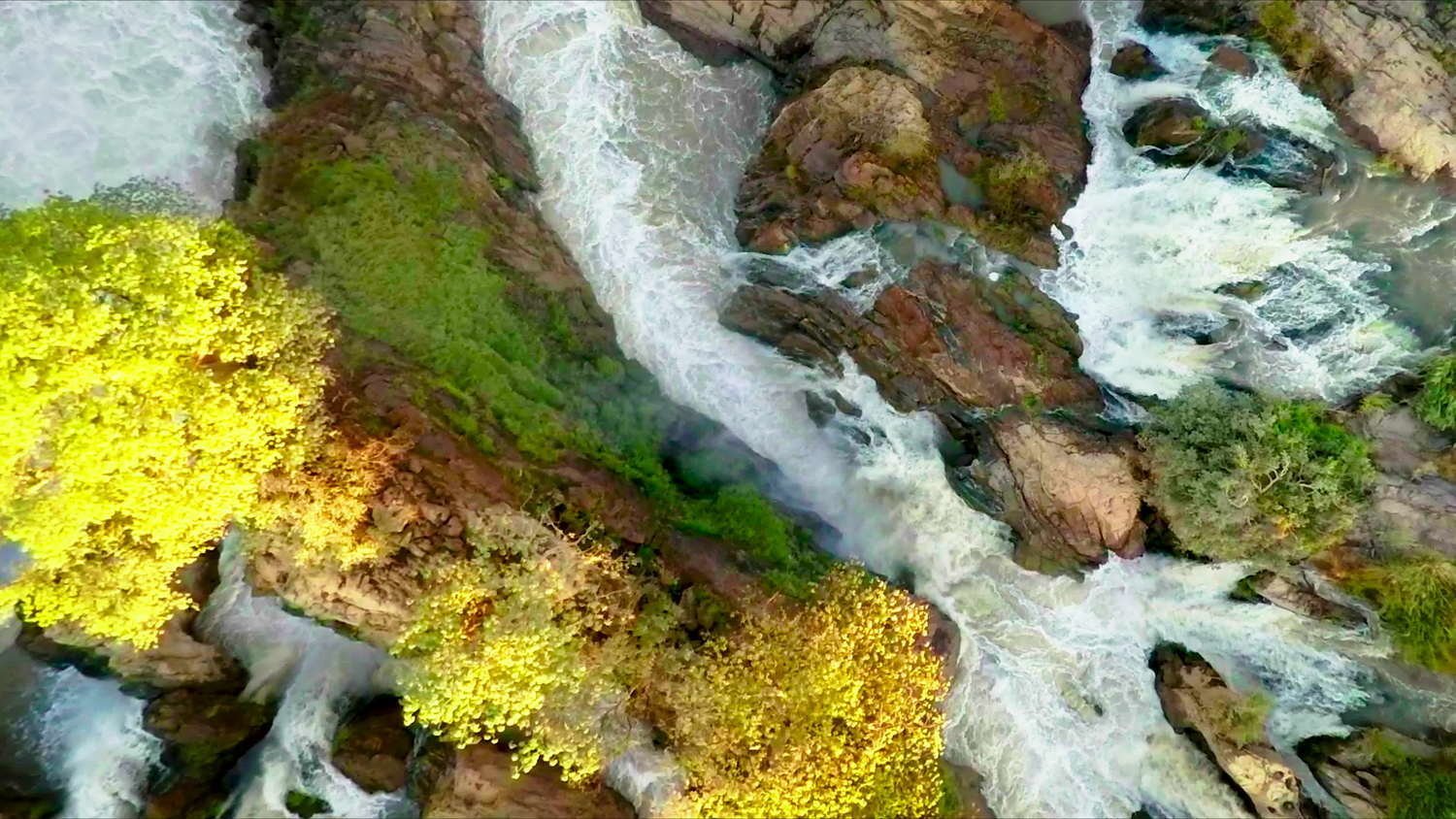 Black Forest Collective | Epupa Falls, Namibia IV | Sedition