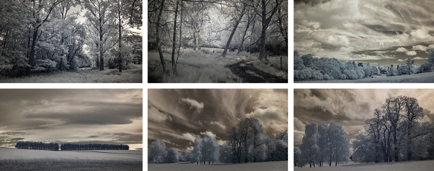 Philip Clemo | Infrared | Sedition