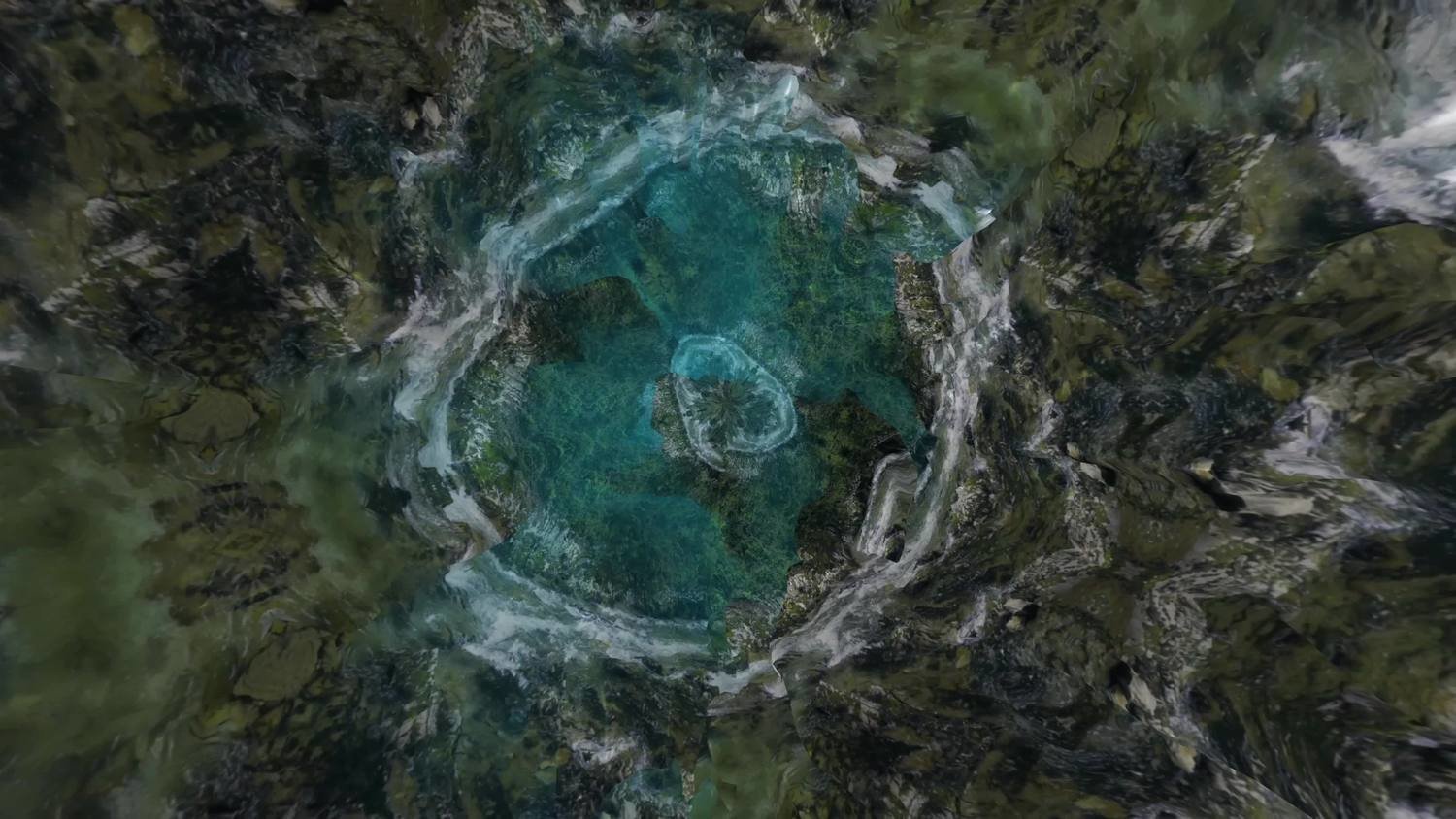 Heleen Blanken | Biosphere #5 | Sedition