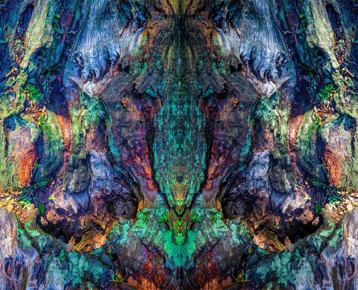 Adrian Houston | Kimberley Oak | Sedition