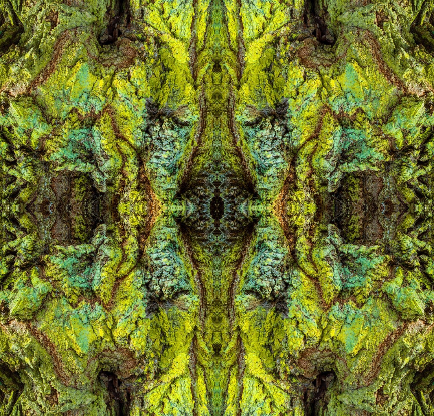 Adrian Houston | Drumlanrig Oak | Sedition