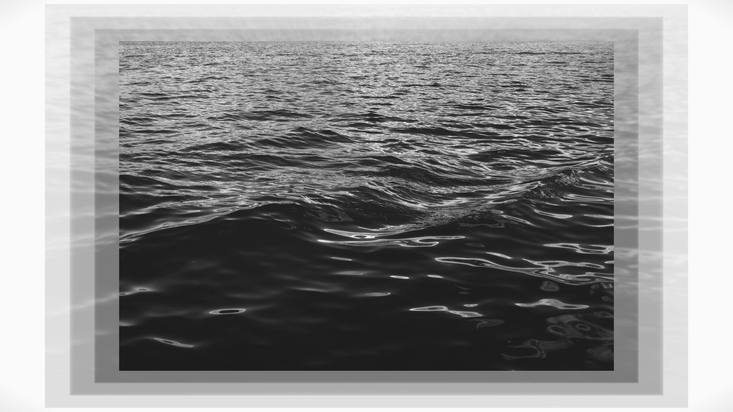 Marco Alvarez | Motion | Sedition